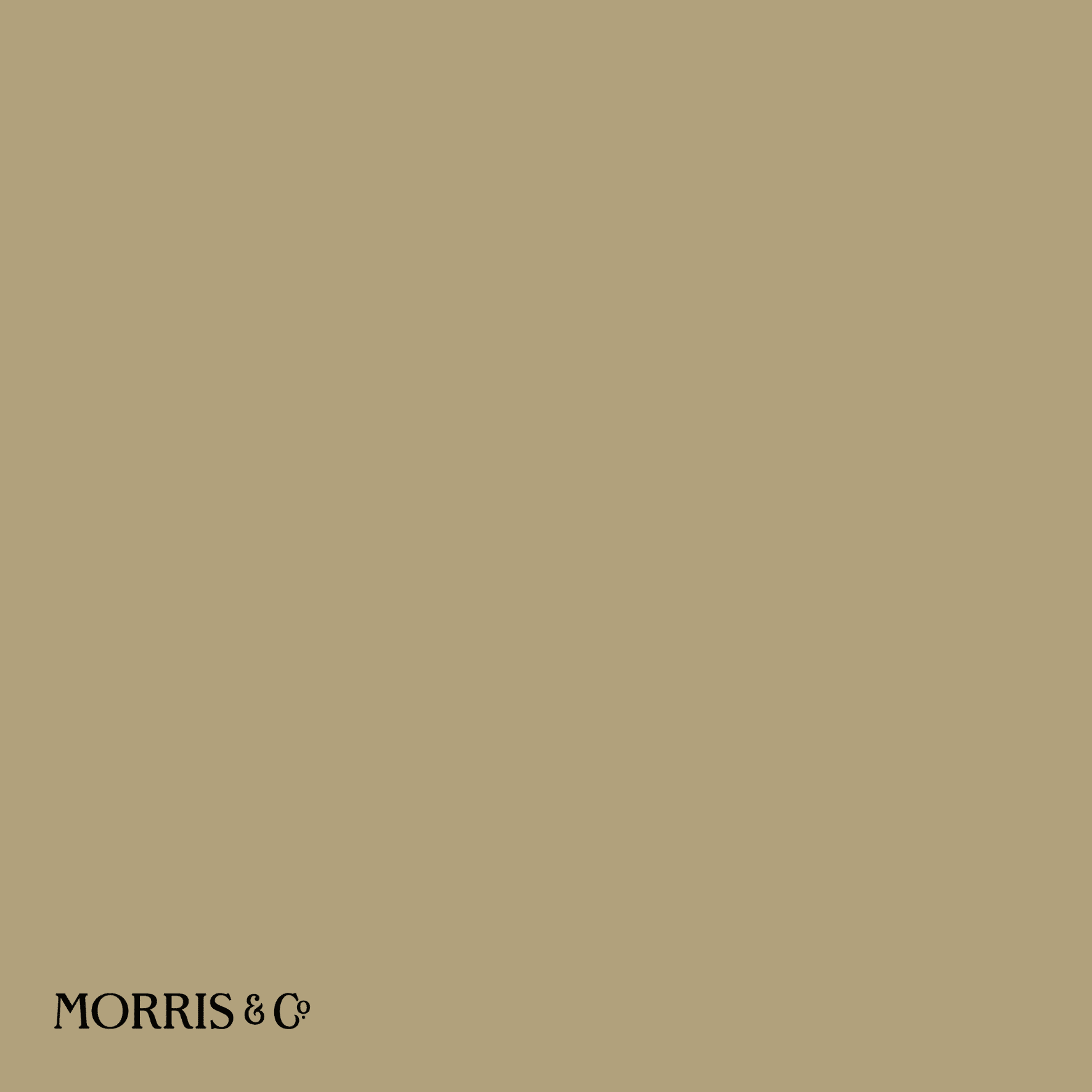 Citrus Stone – Pattons Paints