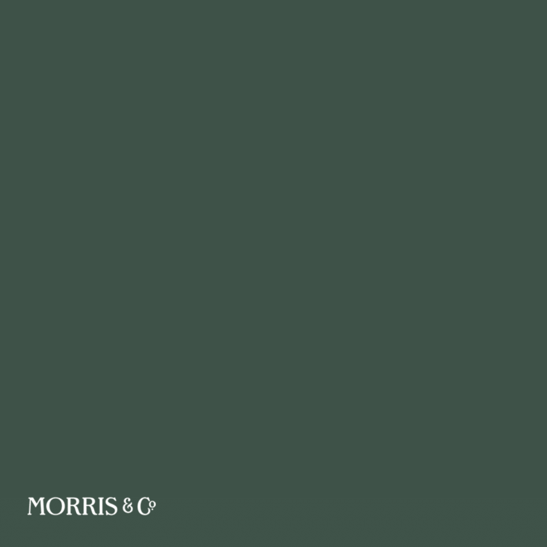 Tump – Pattons Paints